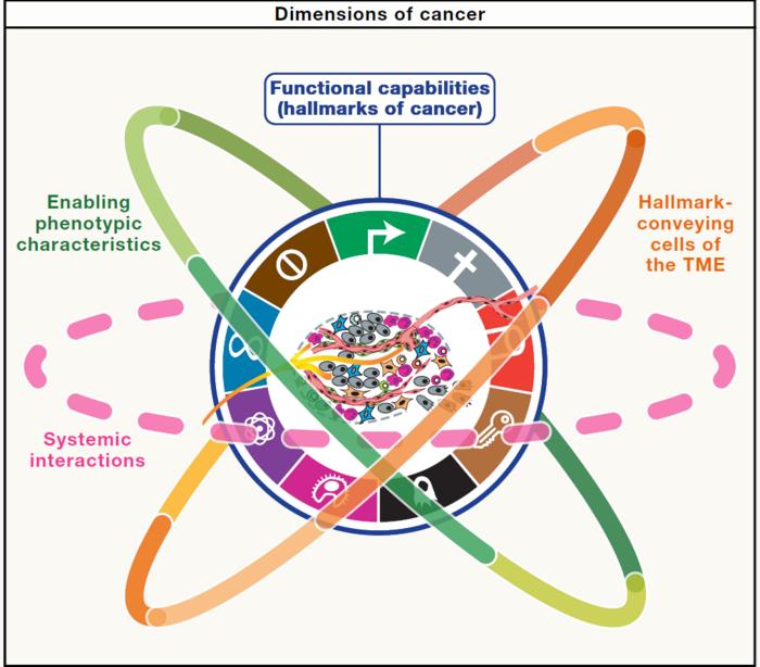 A framework for understanding (and researching) what causes human ...