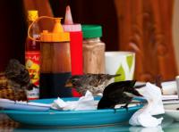 Fast evolution affects everyone, everywhere | EurekAlert!