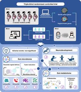 Vaginal microbiota seeding improves the neurodevelopment of babies born ...
