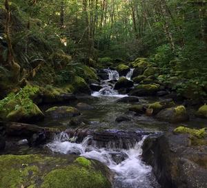 NSF funds research on the effects of evolution and food webs in climate ...
