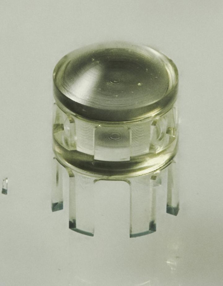 3-D Printed 'Eagle Eye' Camera Mimics Sharp Vision of Predators (8 of ...
