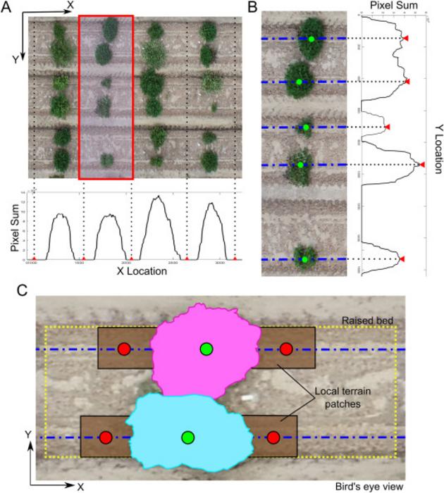 Drones + “Segment Anything” automate peanut field phenotyping for ...