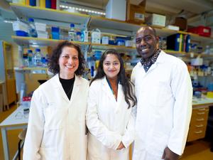 Research team [IMAGE] | EurekAlert! Science News Releases