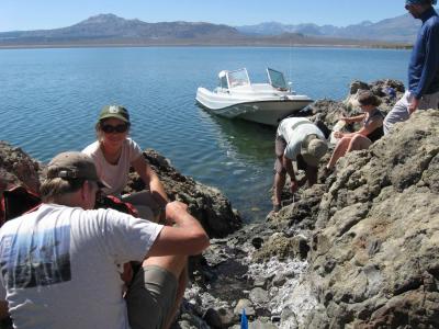 Breathing Without Oxygen (1 of 5) [IMAGE] | EurekAlert! Science News ...