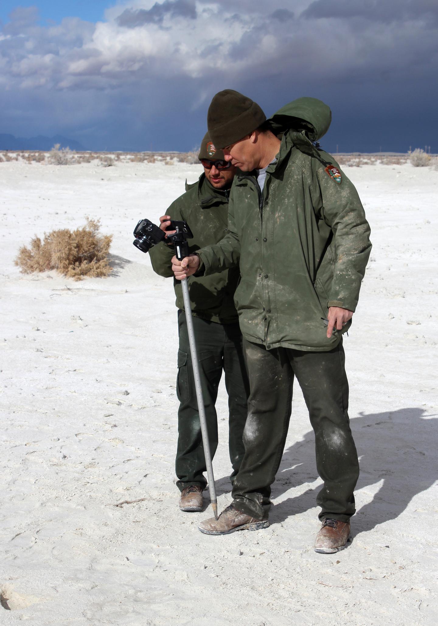 Ancient Humans Stalked Giant Ground Sloths, Fossil Footprints Suggest ...