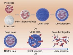 Innovative double-layer polysaccharide hydrogel revolutionizes ...