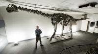 Researchers discover Moabosaurus in Utah's 'gold mine' | EurekAlert!