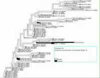 Creationists Are Evolving their Anti-Evolution Tactics | EurekAlert!