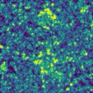 Super microscope shows nanoscale biological process for the first time ...