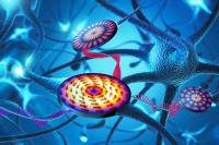 Split wave | EurekAlert!
