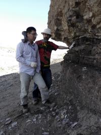 New Fossils Show Extraordinary Expansion of Insects During the Triassic ...