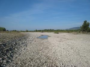 Citizen scientists in support of drying rivers | EurekAlert!