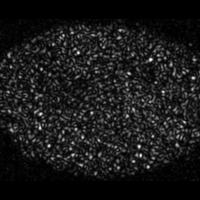 'SAVI' Technique Shines Light on High-resolution, Long-distance Imaging ...