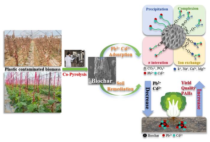 Turning plastic-contaminated farm waste into safer biochar for soil ...