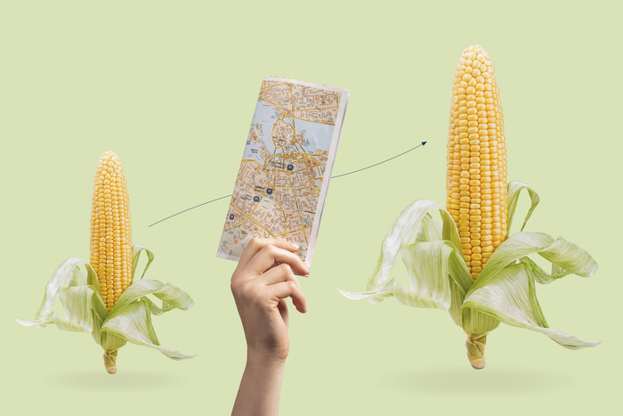 Guide through the maize genome [IMAGE] | EurekAlert! Science News Releases