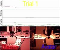 An optical brain-to-brain interface supports information exchange for ...
