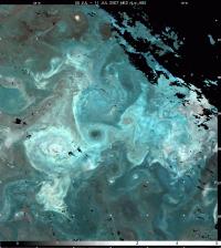 Ocean stirring and plankton patchiness | EurekAlert!