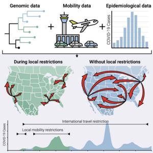 Social distancing was more effective at preventing local COVID-19 ...