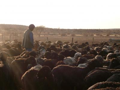Namibia (3 of 3) [IMAGE] | EurekAlert! Science News Releases