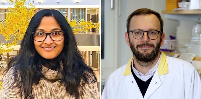 Immune cells in the nose slow influenza virus | EurekAlert!