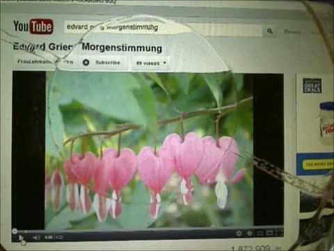 Improving Stretchable Ionic Conductors, Clearly (2 of 5) | EurekAlert!