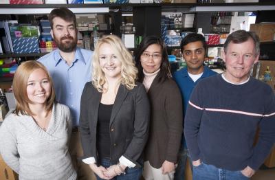 Direct Electron Transfer Between Bacteria (2 of 6) | EurekAlert!