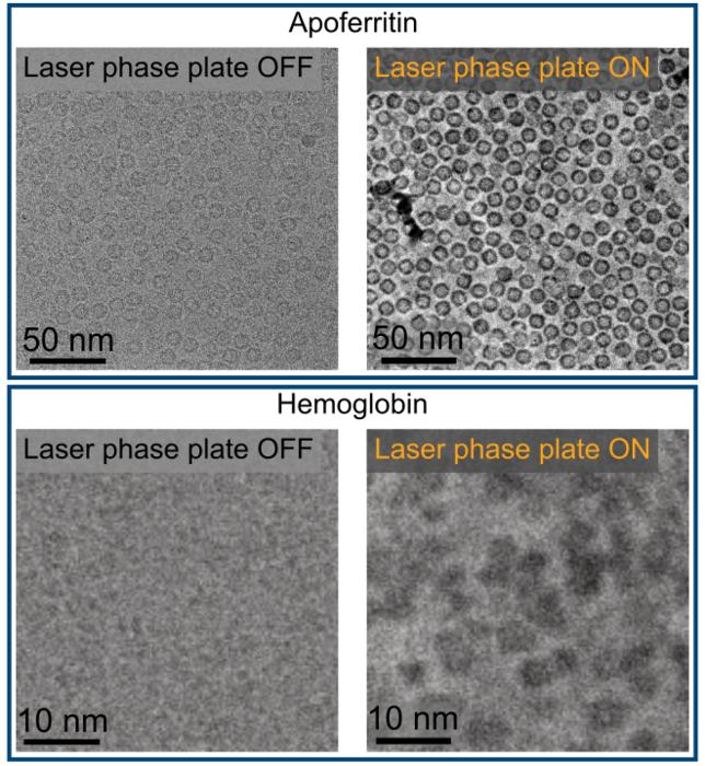 Cryo-EM protein images with and without laser phase plate [IMAGE ...