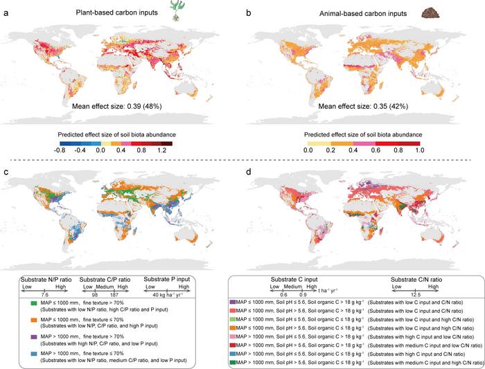 Global predictions and site-specific strategies to boost soil biota ...