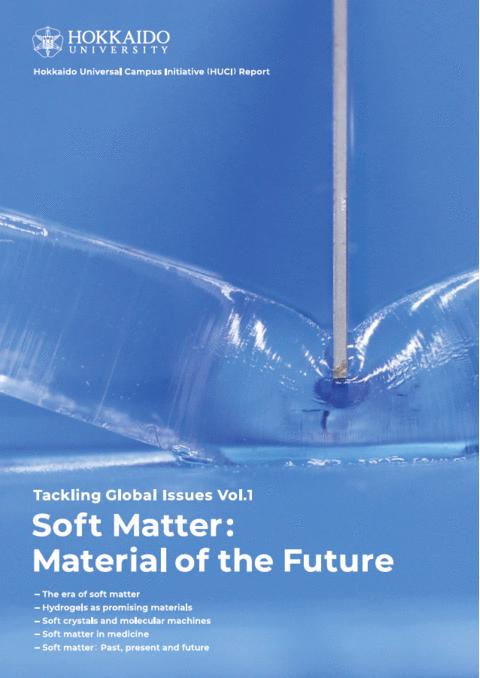 Tackling Global Issues vol. 1 Soft Matter: Material of the Future ...