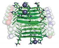 Chemists' work with small peptide chains may revolutionize study of ...
