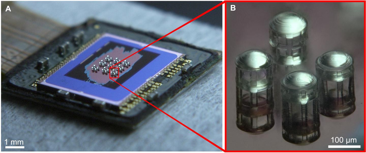 3-D Printed 'Eagle Eye' Camera Mimics Sharp Vision of Predators (10 of ...