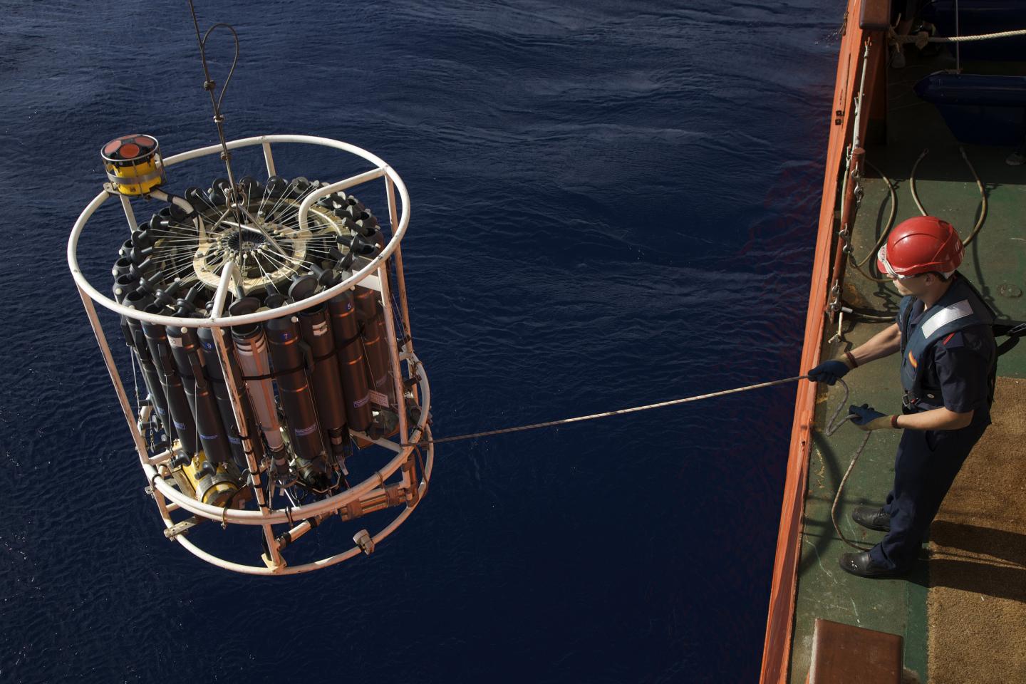 Viruses Play a More Active Role in Deep Sea Than Previously Thought (1 ...