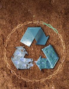 Living plastics: a new solution for plastic degradation through ...