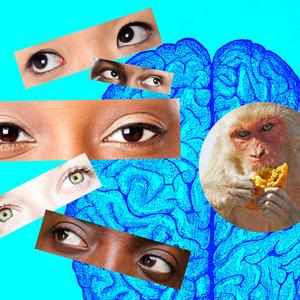 Live from the brain: Visual cues inform decision to cooperate | EurekAlert!