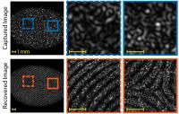 'SAVI' Technique Shines Light on High-resolution, Long-distance Imaging ...