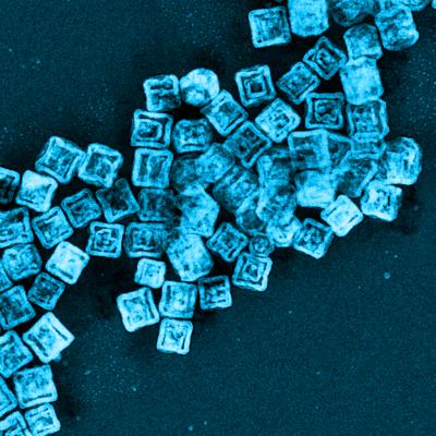 Self-Assembled, Complex Nano-Objects in 3-D (4 of 9) | EurekAlert!