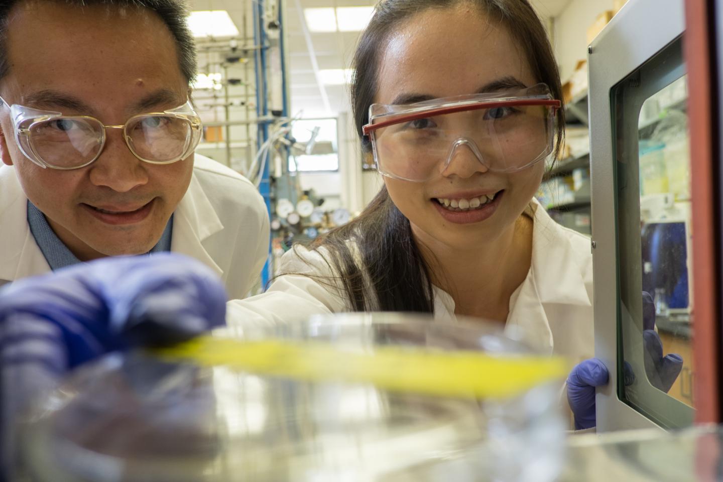 Michael Wong and Li Chen [IMAGE] | EurekAlert! Science News Releases