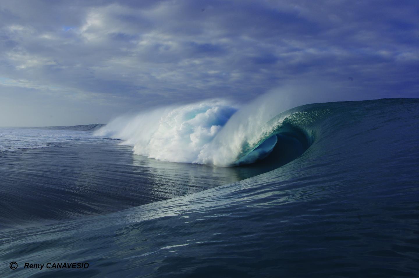 Coral Reef Structure Matters Most, for Keeping Tropical Coastlines ...
