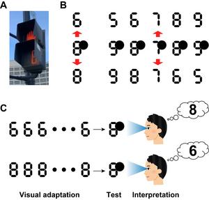 What numbers do you see? A new bistable perceptual phenomenon on ...
