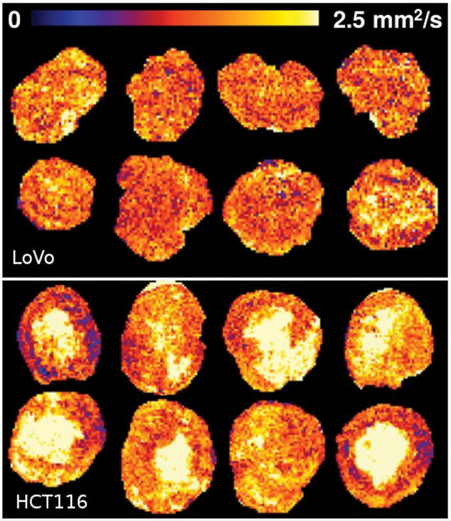 Technology used to map Mars now measuring effect of treatment on tumors ...