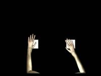 Brain-Machine Interface Lets Monkeys Control 2 Virtual Arms (4 of 5 ...